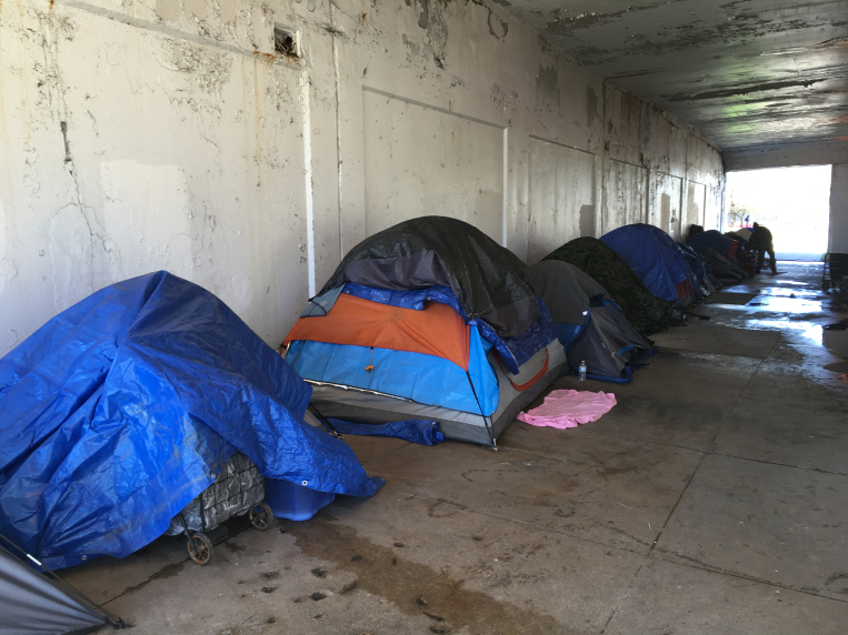 Chicago Sun-Times, Mark Brown: Report says homeless counts miss the ...
