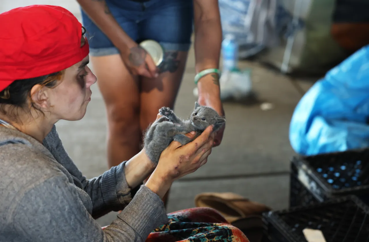 Chicago Tribune: In Chicago’s tent cities, ‘a multitude of challenges ...